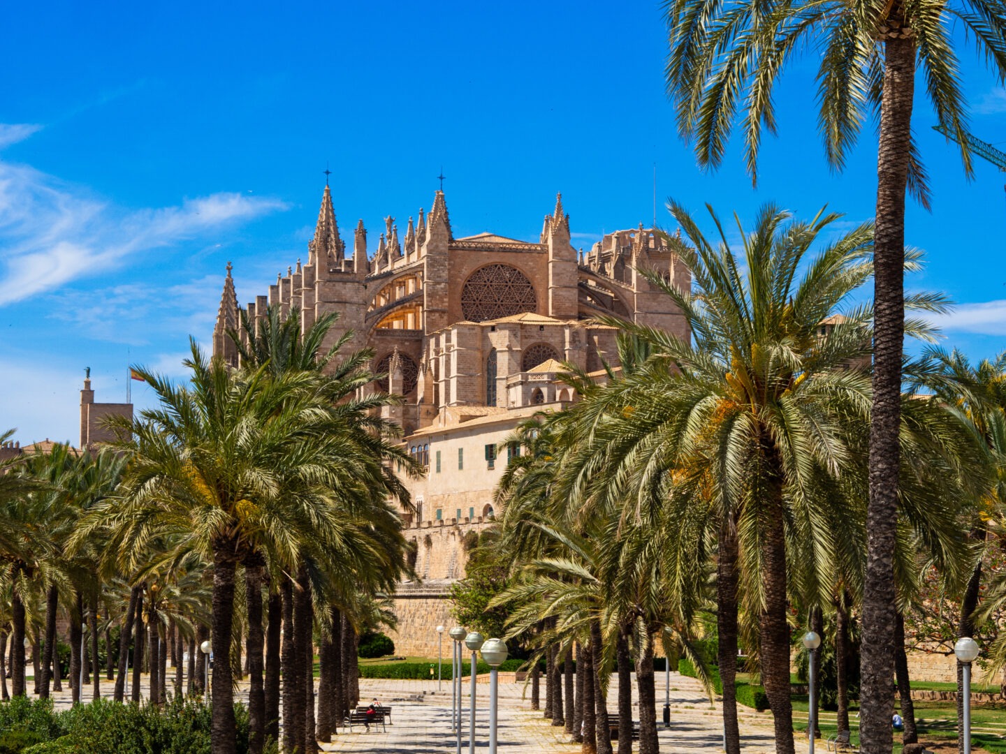 Palma de Mallorca: 5 einzigartige Sehenswürdigkeiten - Travel Minds ...